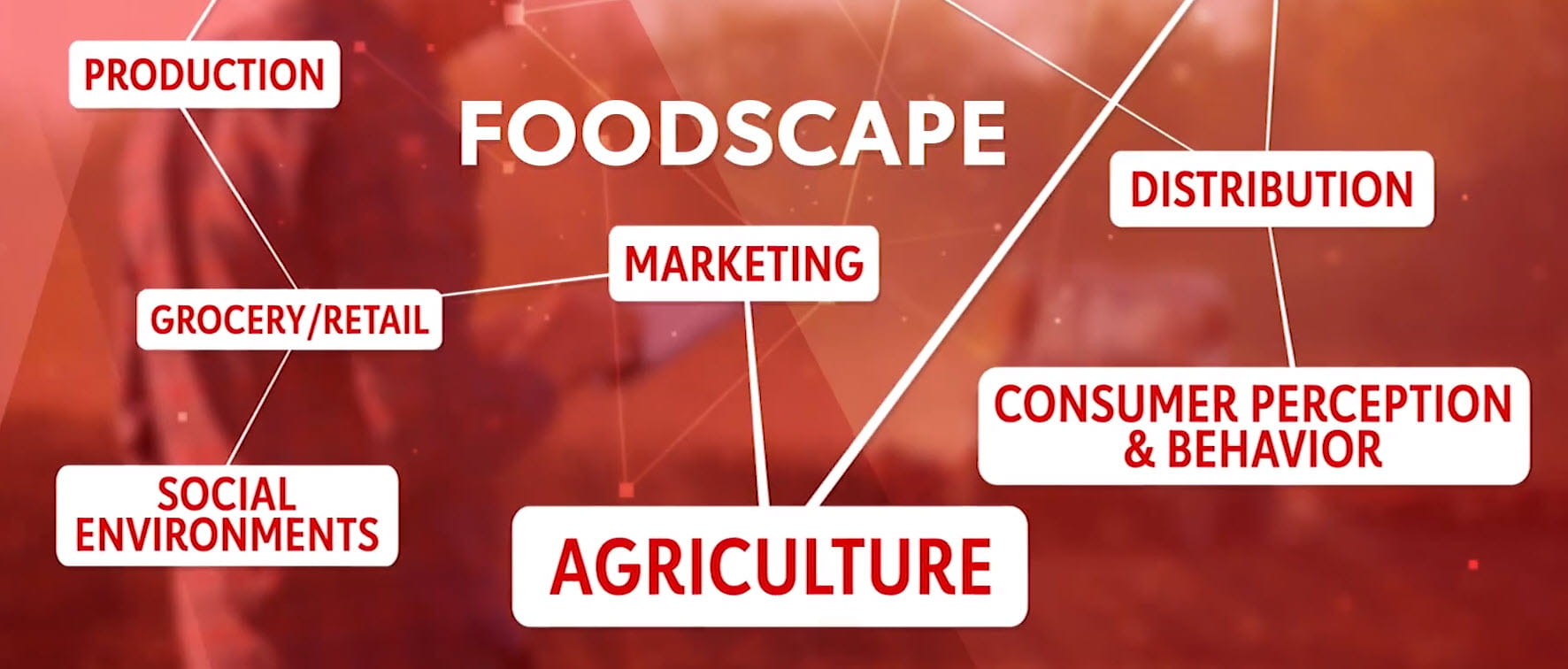AHA's Food System Strategy: Foodscape Innovation™ | Go Red for Women