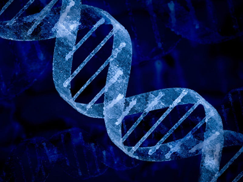 What to do when a genetic test result signals possible heart risk | Go ...