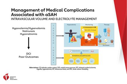2023 Guideline for the Management of Patients With Aneurysmal Subarachnoid Hemorrhage ...