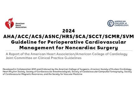 2024 Guideline for Perioperative Cardiovascular Management for ...