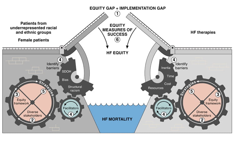 Implementation Science to Achieve Equity in Heart Failure Care ...