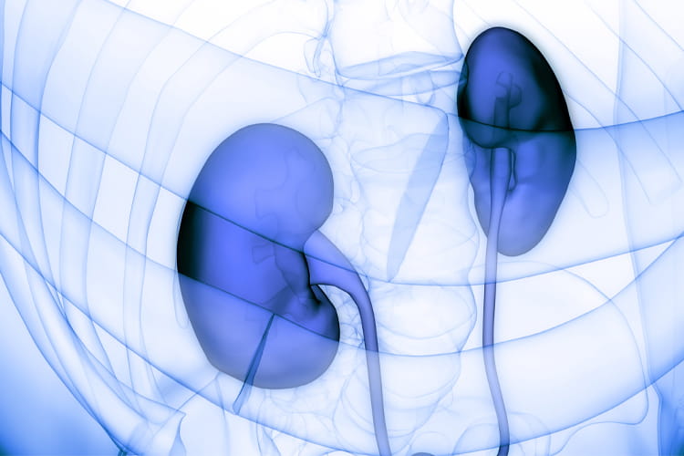 Renal Denervation for the Treatment of Hypertension - Professional ...