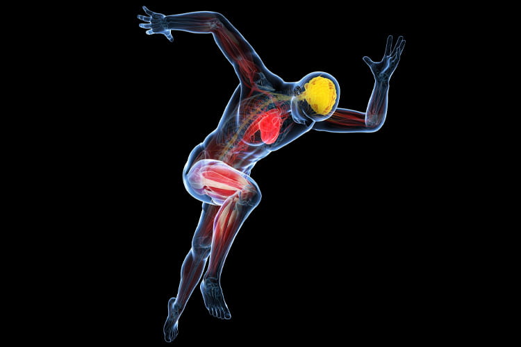 Clinical Considerations for Competitive Sports Participation for ...