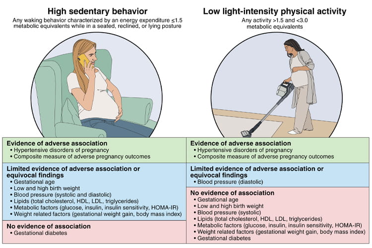 Sedentary Behavior and Light-Intensity Physical Activity During ...